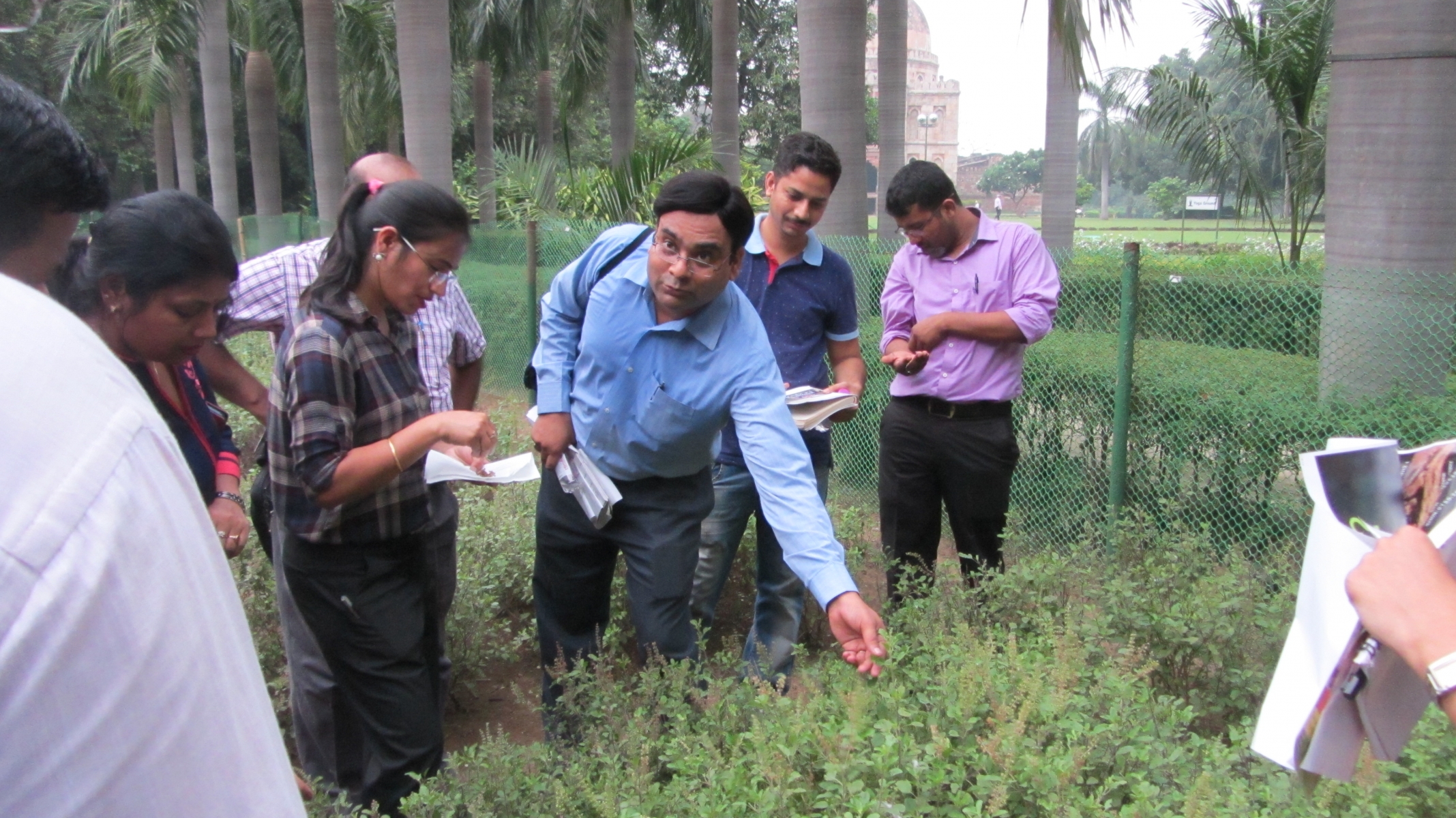 Learning about the importance of preserving and restoring Biodiversity ...